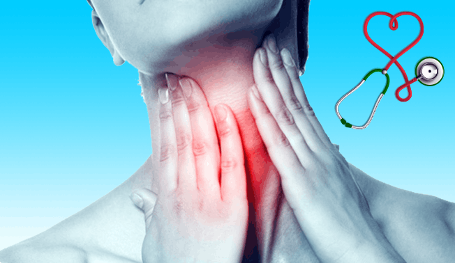 Anatomy of the vocal cords and the phonatory system